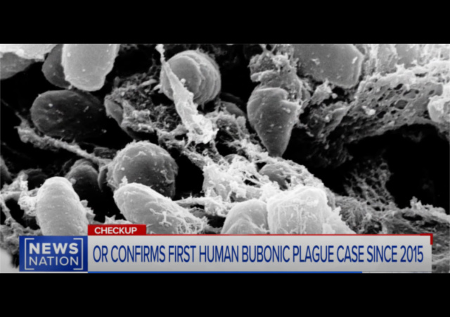 Oregon Reports First Human Bubonic Plague Case in Nearly 10 Years