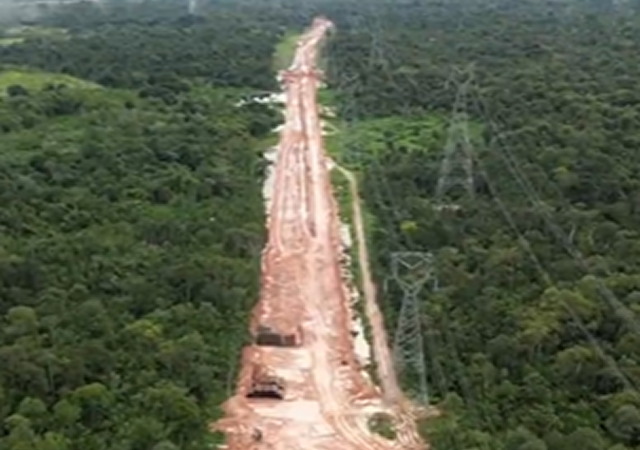 Huge Stretch of Amazon Rainforest Cut Down in Brazil to Make Way for Road to ‘Climate Summit’