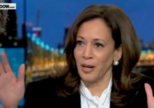 Kamala Harris Compares Trump to a Communist Dictator, Then Endorses ...